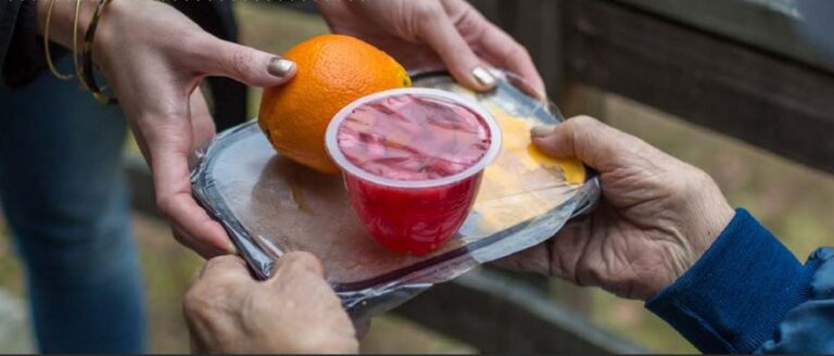 Programs & Services - LifeSpan